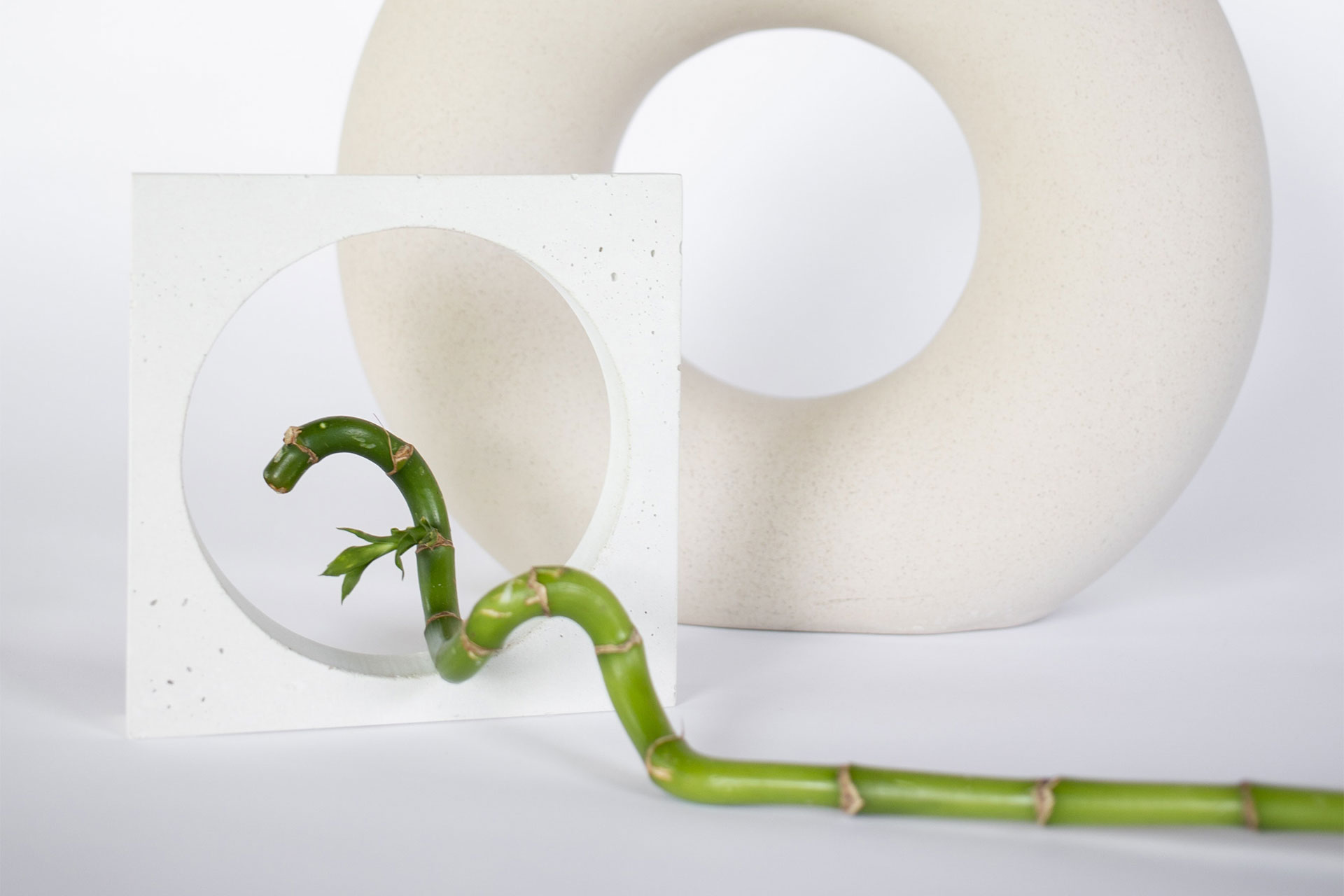 Frequently Asked Questions | Bamboo Center